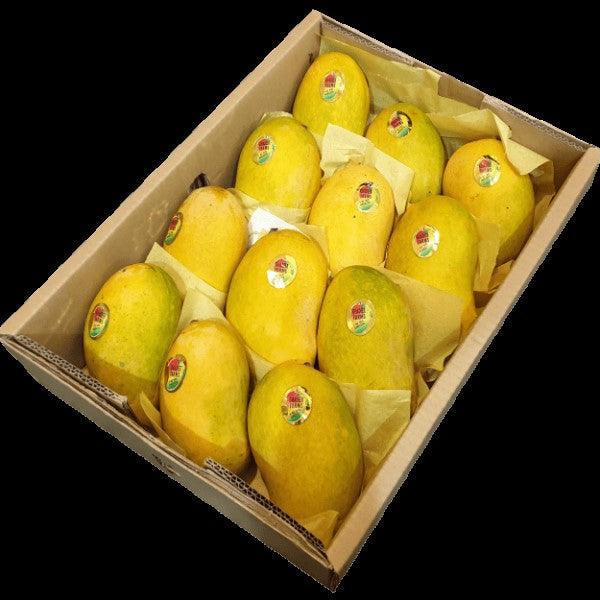 Fresh Saroli Mango, Juicy Saroli Mangoes, Organic Mango Saroli – Fakhre ...